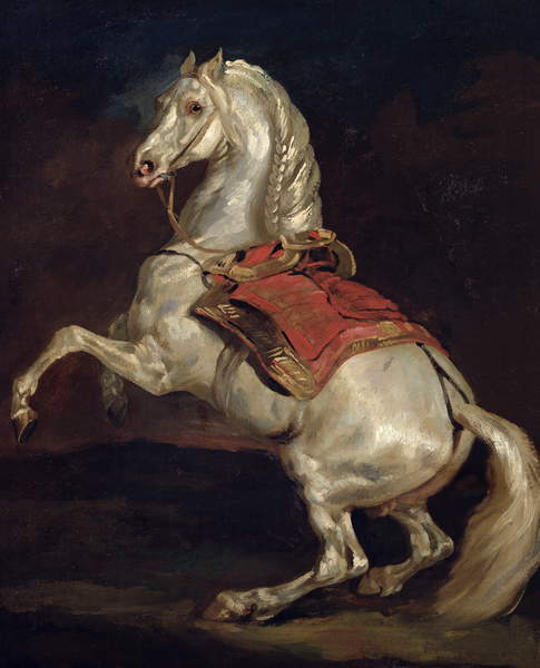 Napoleon’s Horses/ Chivalry of Battle