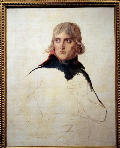A collection of the most impressive portraits of Napoleon Bonaparte