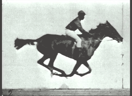 Muybridge In Motion – bridgeman blog